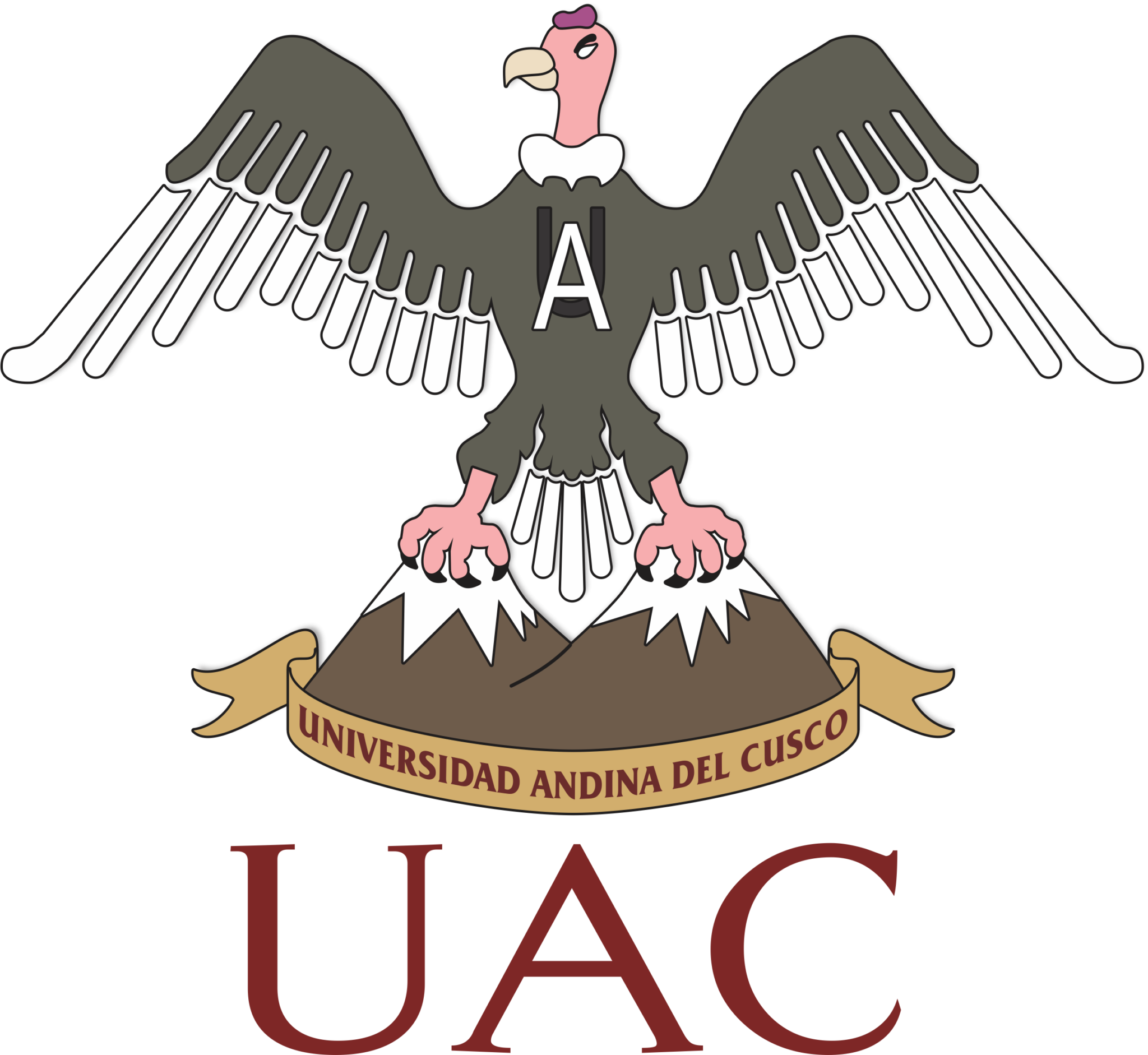Identidad Andina - Universidad Andina del Cusco